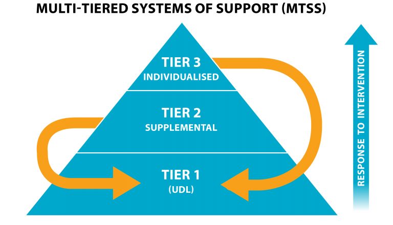 Designing reasonable adjustments to support school inclusion ...
